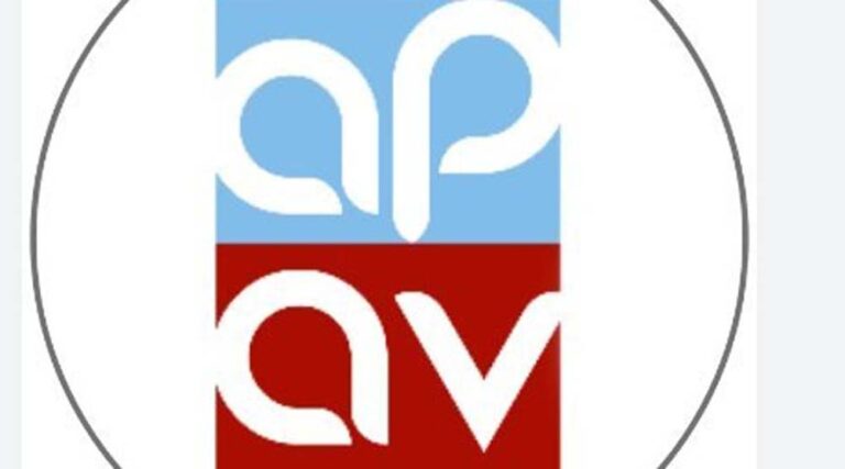 La Asociación de Productores Argentinos en Venezuela (APAV): el futuro ...