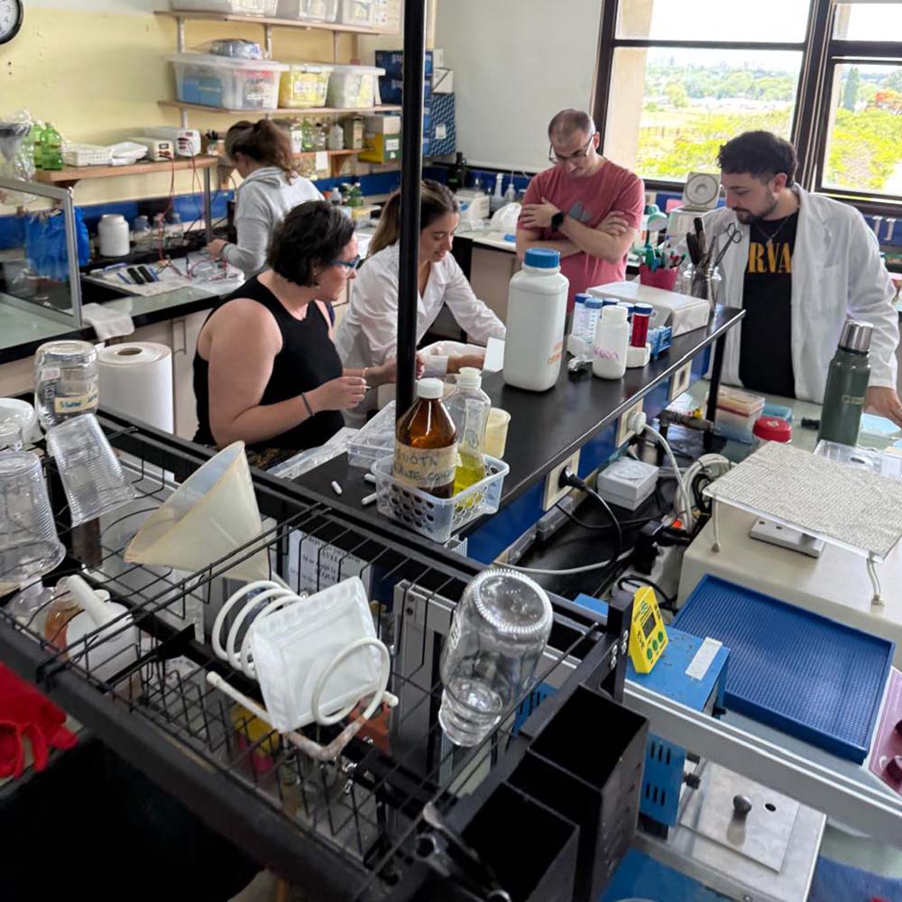 Eywa Biotech levanta inversión de USD 2,5M liderados por Tim Draper, el ...